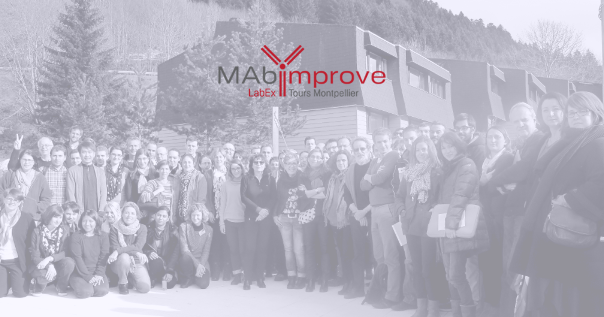 CDI1 – Interdisciplinary innovation - LabEx MAbImprove